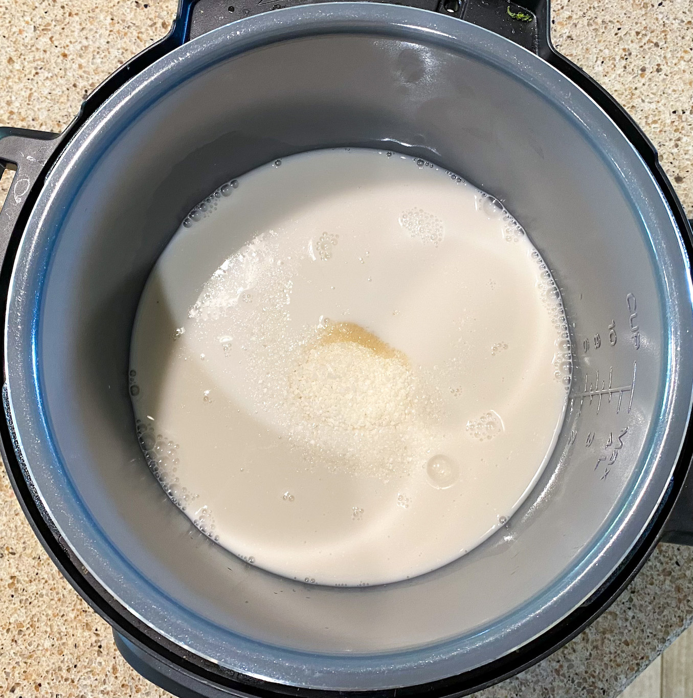 Instant Pot Tapioca Pudding (vegan) - Pebbles and Toast