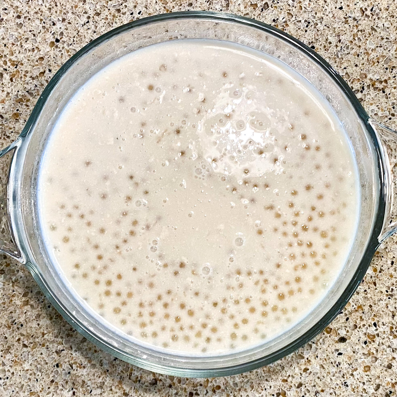 Instant Pot Tapioca Pudding (vegan) – Pebbles and Toast